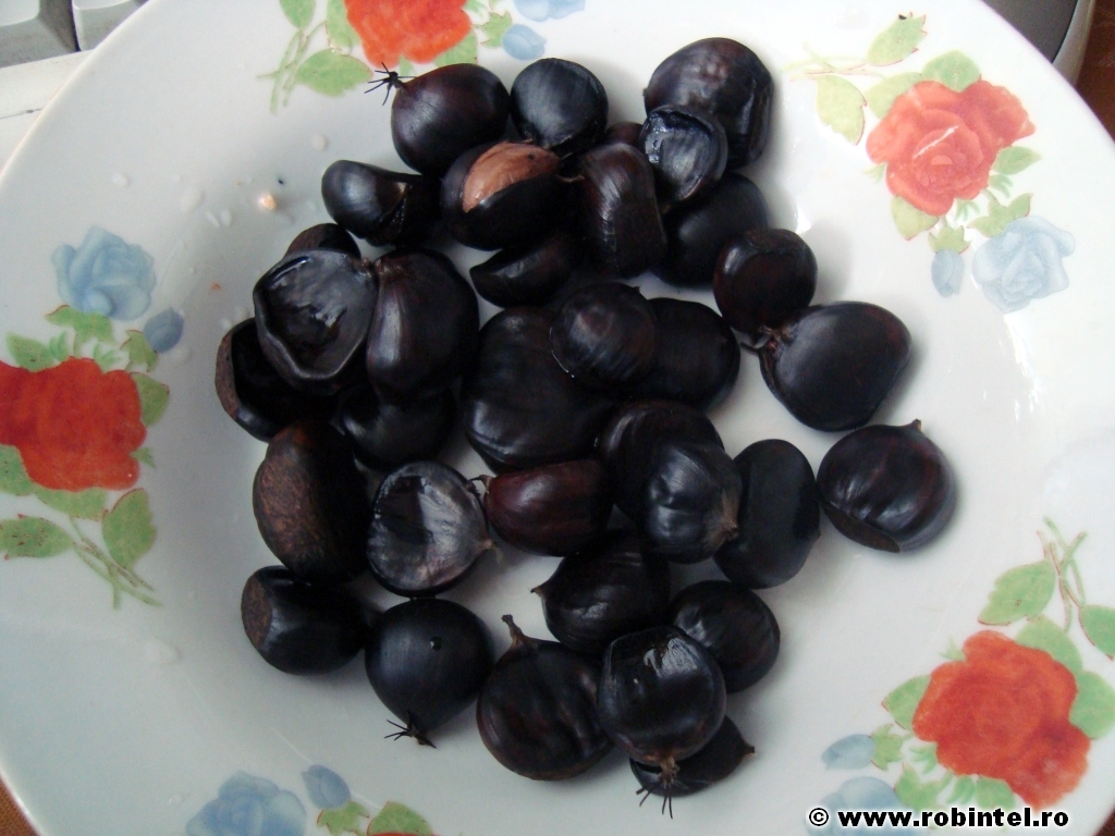 Castane fierte | Robintel